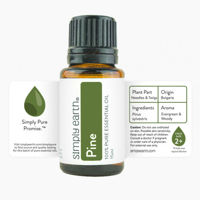Pine Essential Oil – Petite Palm